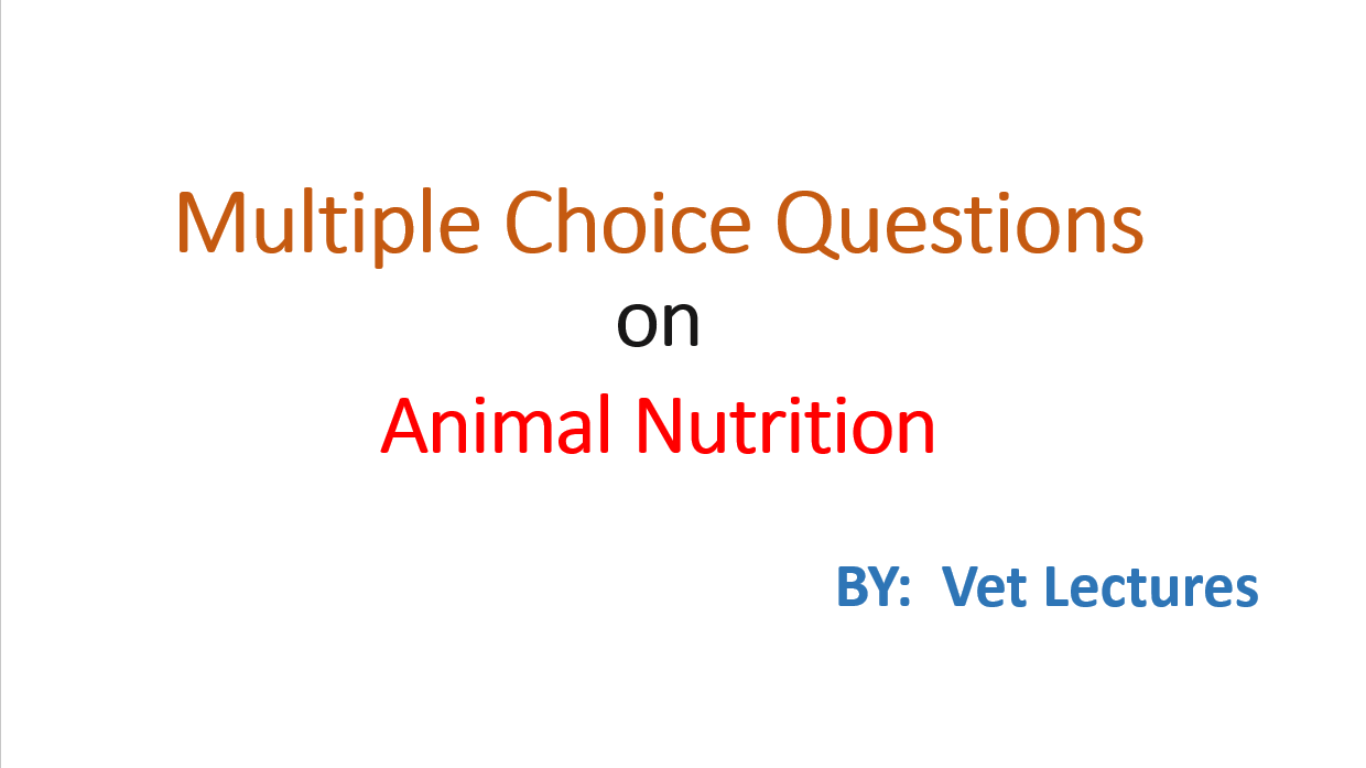 Multiple Choice Questions MCQ On Animal Nutrition Part 5 Vet Lectures