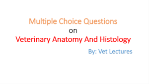 Multiple Choice Questions (MCQ) on Veterinary Anatomy and Histology (Part-7) - Vet Lectures